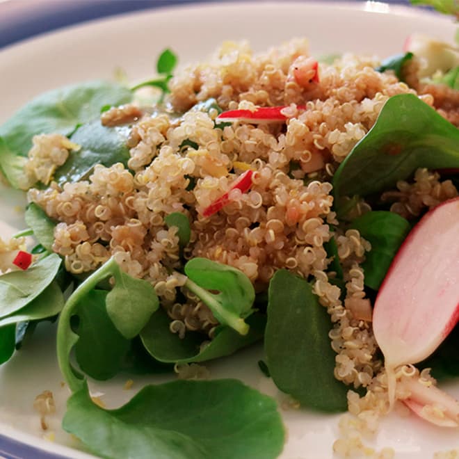 Organic Tapioca Maltodextrin and Solids - Briess Malt & Ingredients